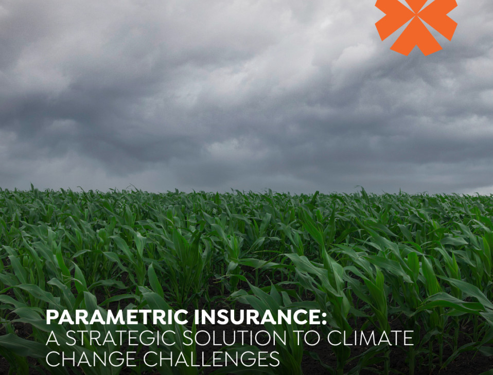 MUA | Insurance Company Mauritius